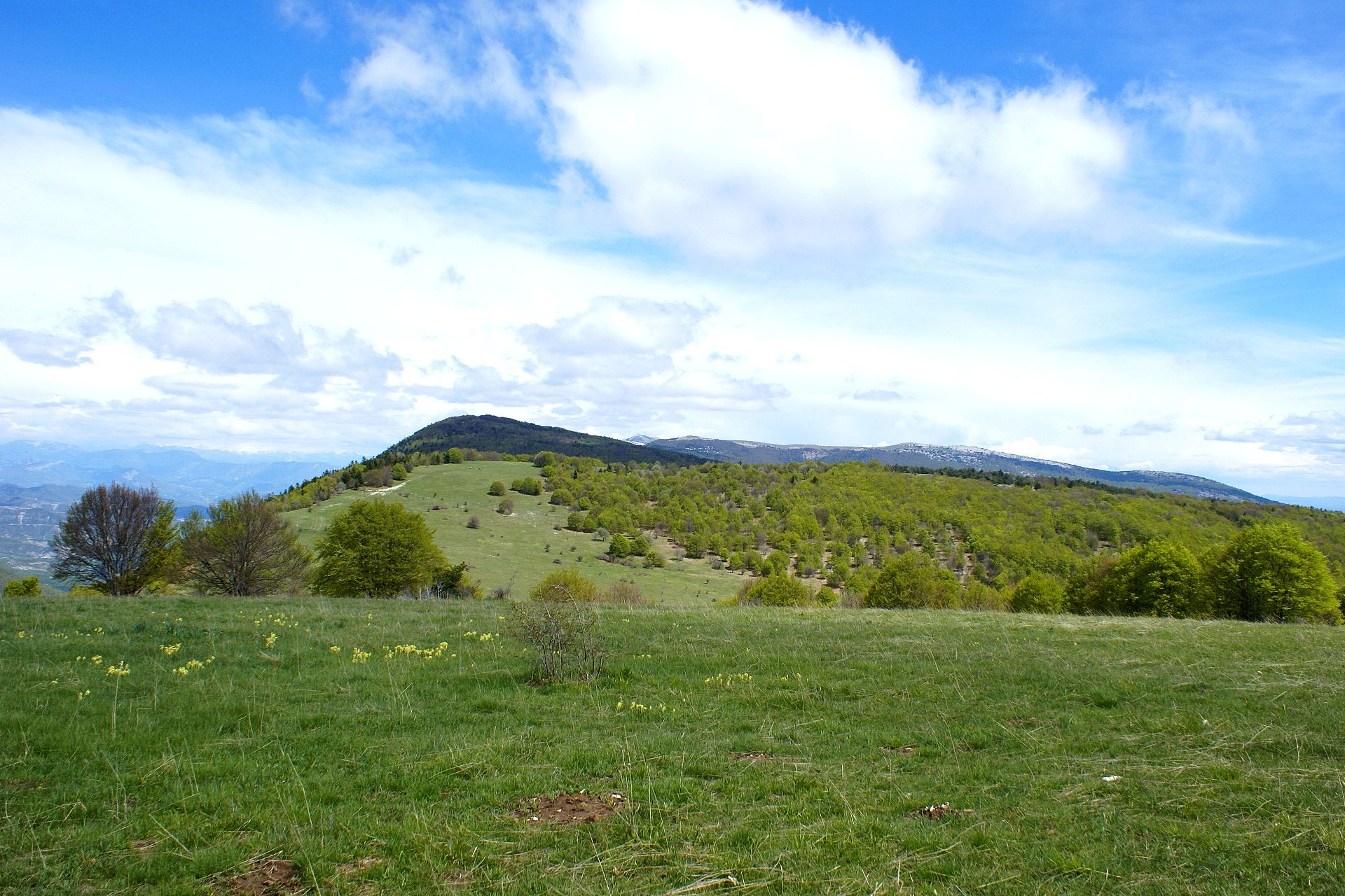Photos de la Crête de la Montagne de Lure - La Provence en Images