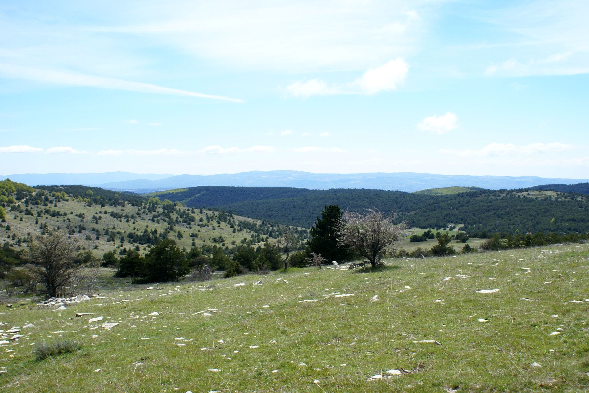 Photos de la Crête de la Montagne de Lure - La Provence en Images