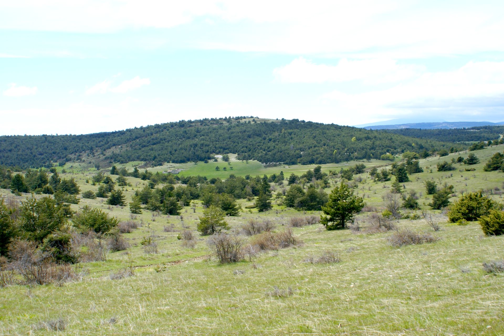Photos de la Crête de la Montagne de Lure - La Provence en Images
