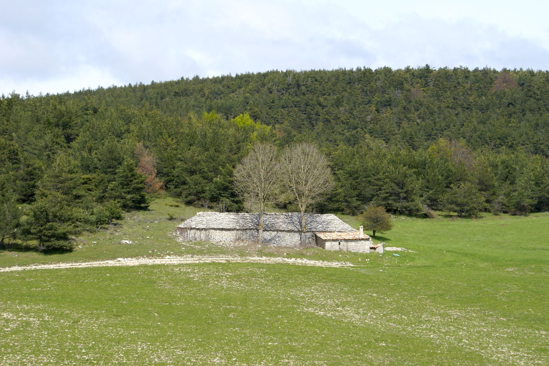 Photos de la Crête de la Montagne de Lure - La Provence en Images
